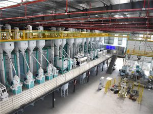 Streamlining Rice Production: Paddy & Rice Processing Machines