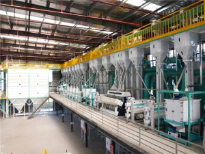 Rice Mill Machine Types and Their Features - ricemill