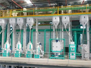 Exploring the Benefits of New Rice Mill Plant